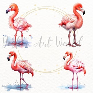 Watercolor Flamingo PNG Bundle, Digital Crafts Designs Transparent ...