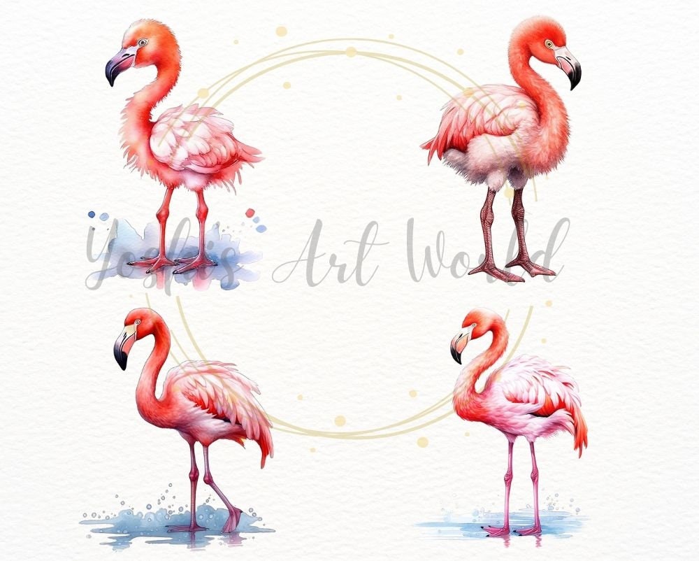 Watercolor Flamingo PNG Bundle, Digital Crafts Designs Transparent ...