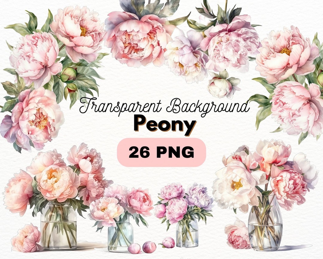 Watercolor Pink Peony PNG Bundle, Digital Crafts Designs Transparent ...