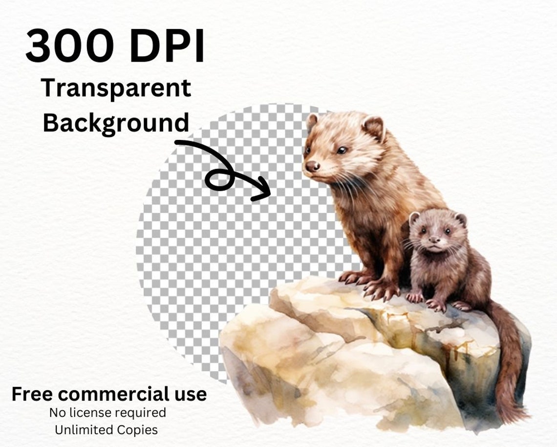 Watercolor Cute Mink PNG Bundle, Digital Crafts Designs Transparent ...