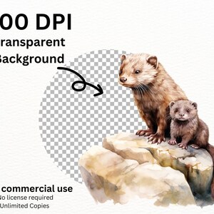 Watercolor Cute Mink PNG Bundle, Digital Crafts Designs Transparent ...