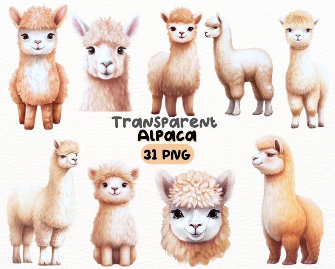 Watercolor Cute Alpaca PNG Bundle, Digital Crafts Designs Transparent ...