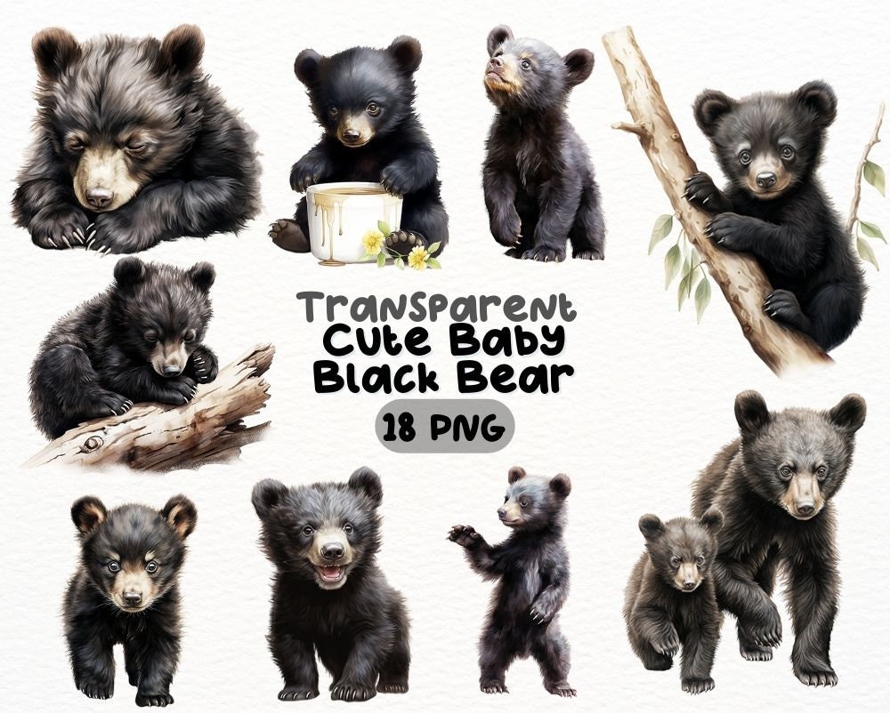 Watercolor Cute Baby Black Bear PNG Bundle, Digital Crafts Designs ...