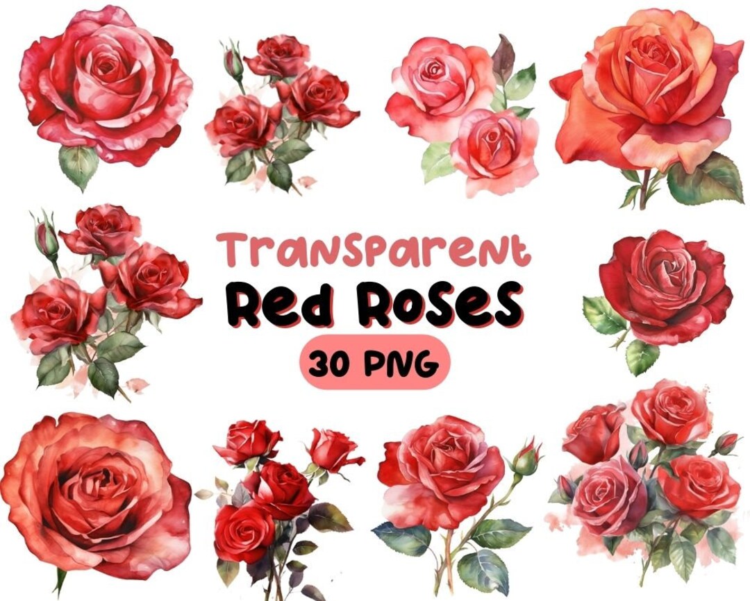 Watercolor Floral Red Roses PNG Bundle, Digital Crafts Designs ...