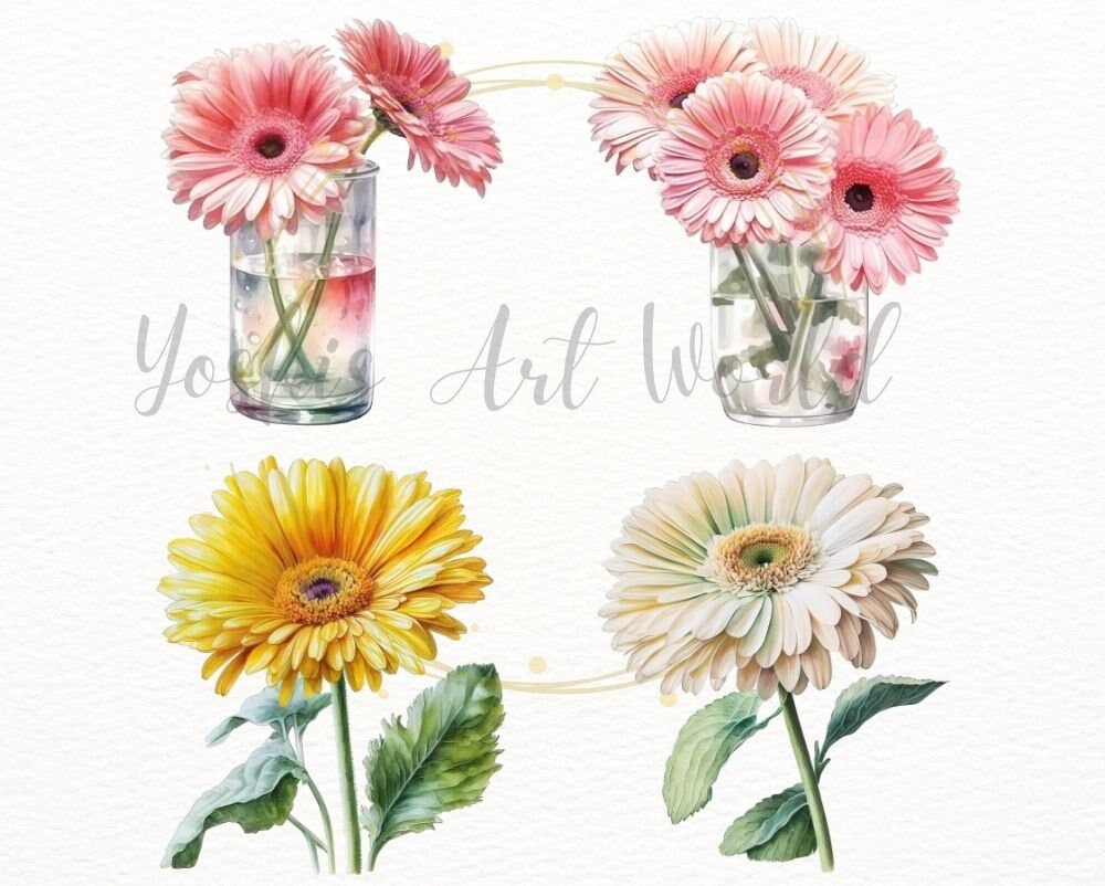 Pastel Watercolor Gerbera Daisy PNG Bundle Digital Crafts - Etsy