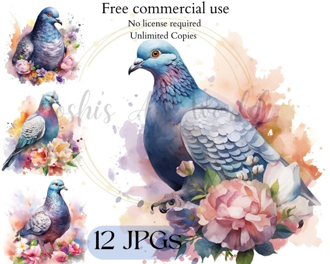 Pigeon and Flower Clipart - Floral Pigeon - Bird Clipart - Card Making ...