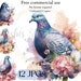 Pigeon and Flower Clipart - Floral Pigeon - Bird Clipart - Card Making ...