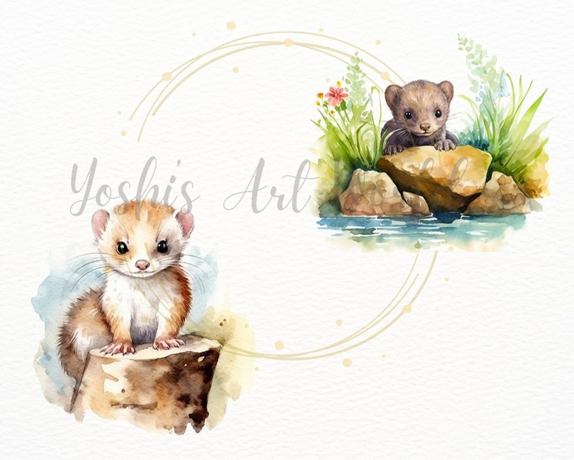 Watercolor Cute Mink PNG Bundle, Digital Crafts Designs Transparent ...