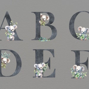 Cute Baby Koala Letters A-Z and Number, Watercolor, Alphabet Clipart ...