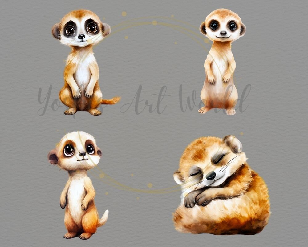 Watercolor Cute Meerkat PNG Bundle, Digital Crafts Designs Transparent ...
