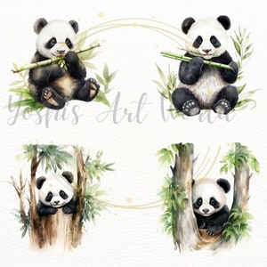 Watercolor Cute Panda PNG Bundle, Digital Crafts Designs Transparent ...