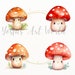 Watercolor Cute Mushroom PNG Bundle, Digital Crafts Designs Transparent ...