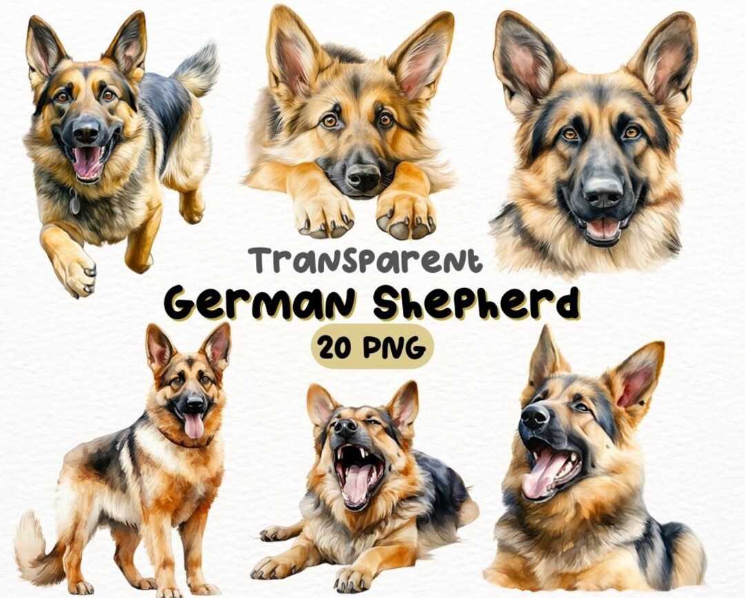 Watercolor German Shepherd PNG Bundle, Digital Crafts Designs ...