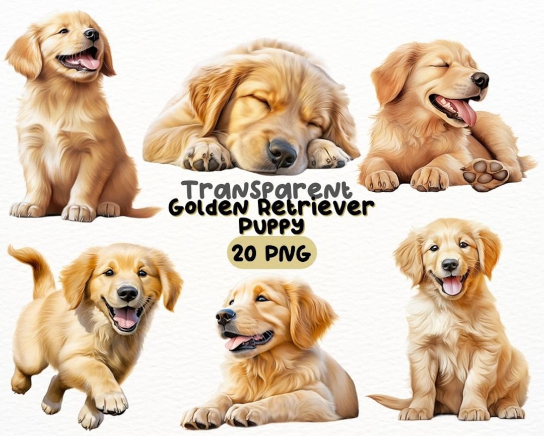 Watercolor Golden Retriever Puppy PNG Bundle, Digital Crafts Designs ...