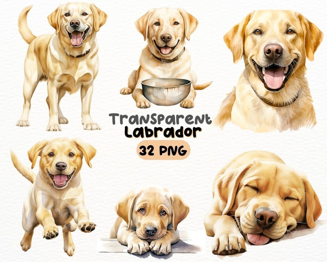 Watercolor Labrador Retriever PNG Bundle, Digital Crafts Designs ...