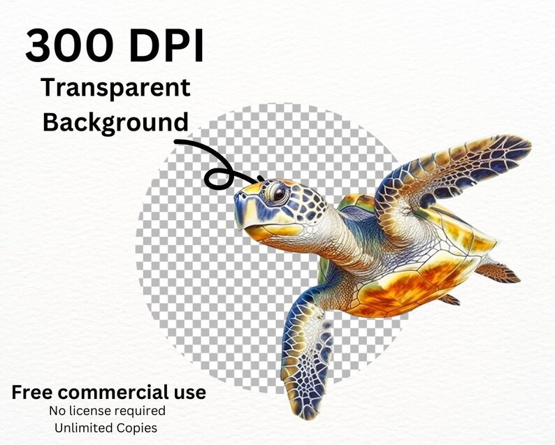 Sea Turtle PNG Bundle, Digital Crafts Designs Transparent, Sea Turtle ...