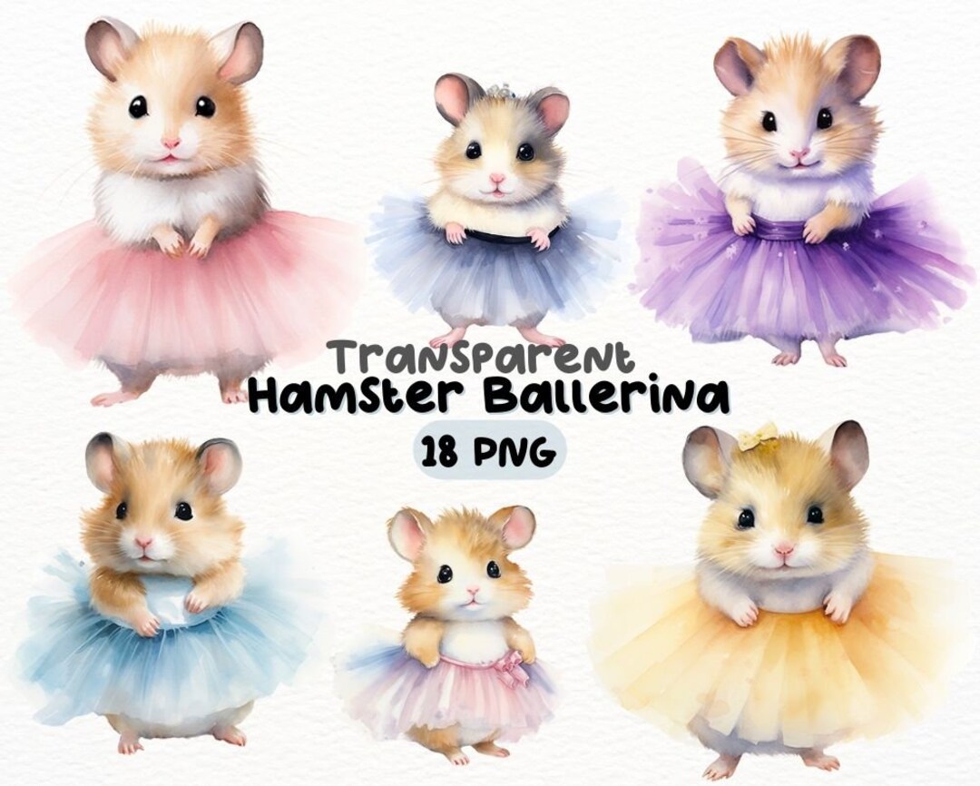 Watercolor Hamster Ballerina PNG Bundle, Digital Crafts Designs ...