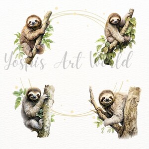 Watercolor Cute Sloth PNG Bundle, Digital Crafts Designs Transparent ...