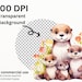 Watercolor Cute Otter PNG Bundle, Digital Crafts Designs Transparent ...