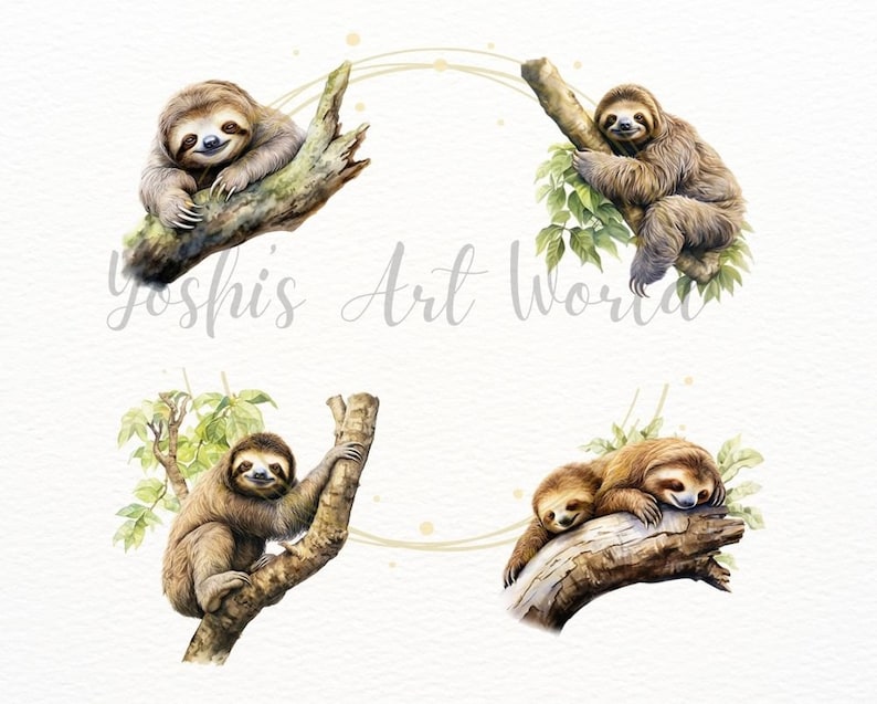 Watercolor Cute Sloth PNG Bundle, Digital Crafts Designs Transparent ...