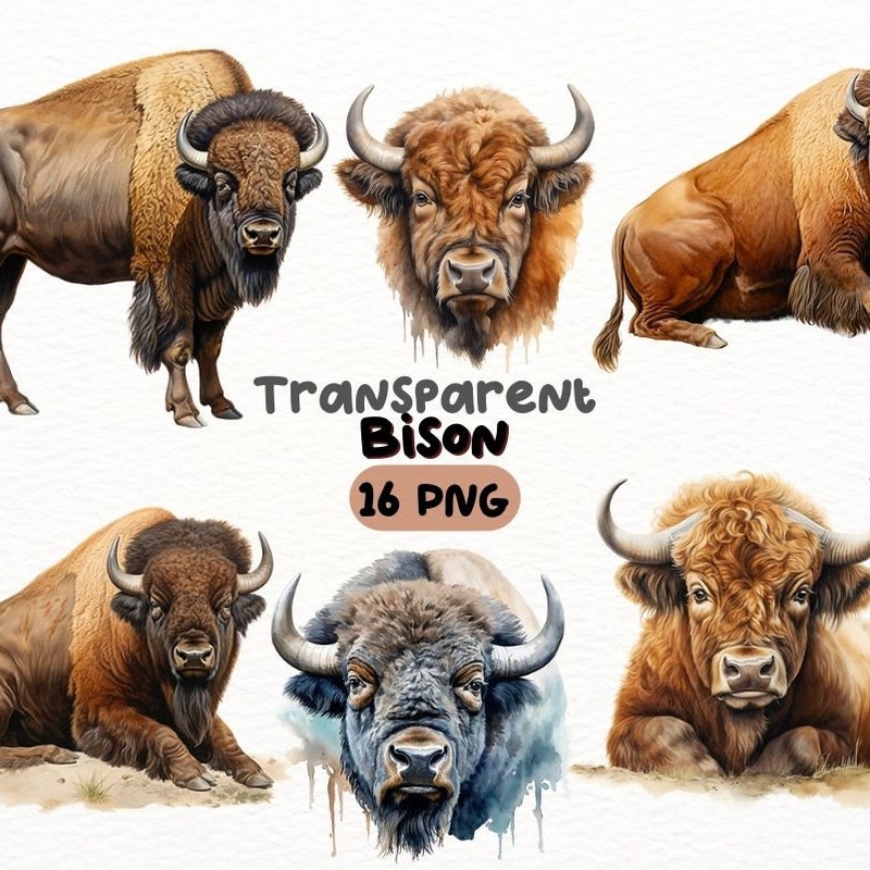 Bison - Etsy