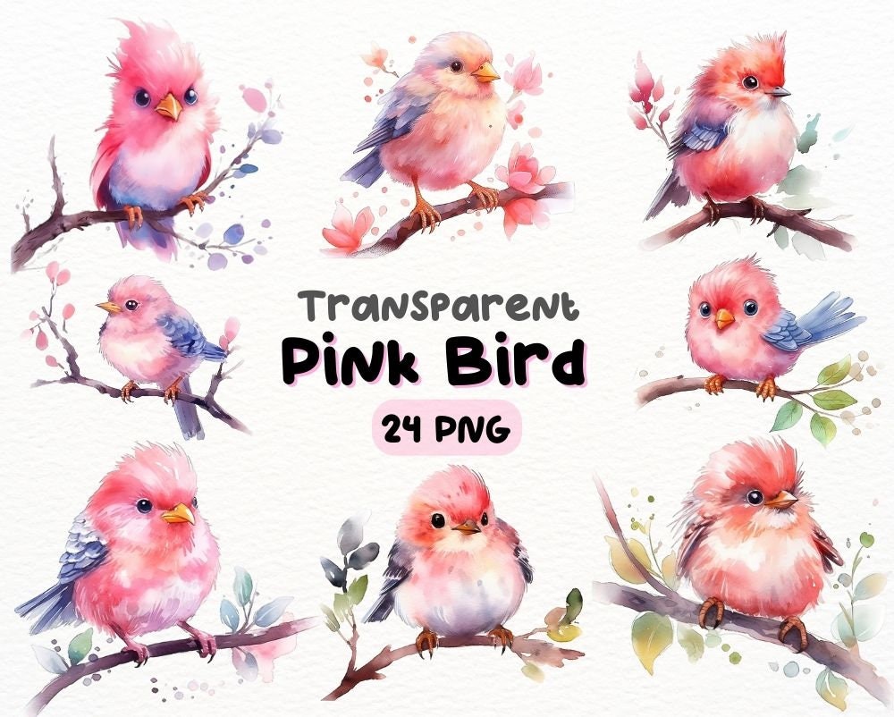 Watercolor Cute Pink Bird PNG Bundle, Digital Crafts Designs ...