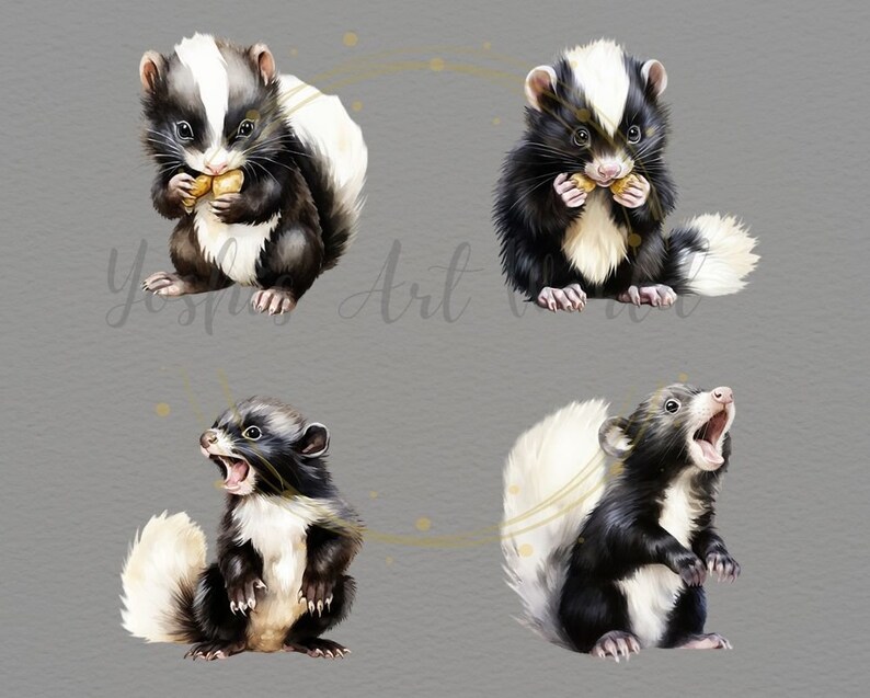 Watercolor Cute Skunk PNG Bundle, Digital Crafts Designs Transparent ...