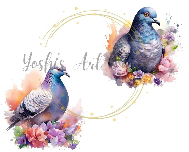 Pigeon and Flower Clipart - Floral Pigeon - Bird Clipart - Card Making ...