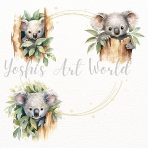 Cute Koala Watercolor PNG Bundle, Digital Crafts Designs Transparent ...