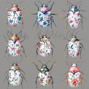 Watercolor Floral Beetle PNG Bundle, Digital Crafts Designs Transparent ...