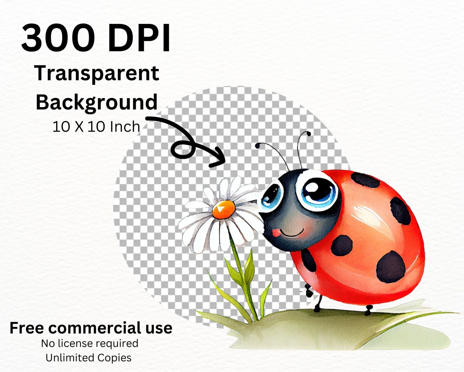 Cute Ladybug PNG Bundle Digital Crafts Designs Transparent - Etsy