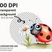 Cute Ladybug PNG Bundle, Digital Crafts Designs Transparent, Lady Bug ...