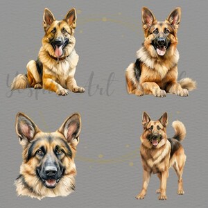 Watercolor German Shepherd PNG Bundle, Digital Crafts Designs ...