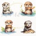 Watercolor Cute Otter PNG Bundle, Digital Crafts Designs Transparent ...