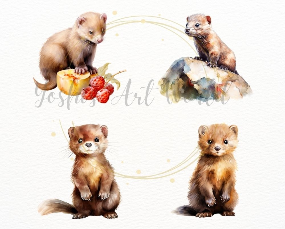 Watercolor Cute Mink PNG Bundle, Digital Crafts Designs Transparent ...