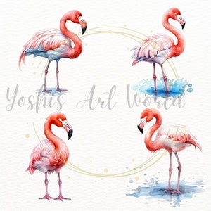 Watercolor Flamingo PNG Bundle, Digital Crafts Designs Transparent ...