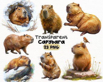 Cute Capybara Watercolor Clipart Commercial Use Sublimation Designs ...