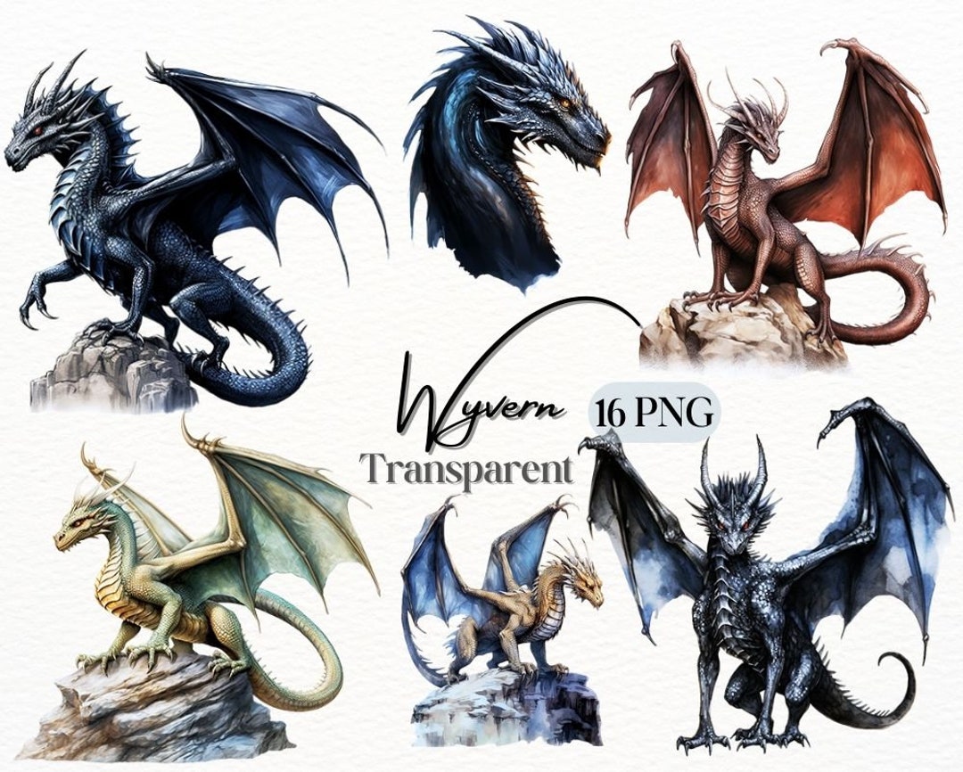 Watercolor Wyvern PNG Bundle, Digital Crafts Designs Transparent, Mythical Magic Dragon Clipart ...