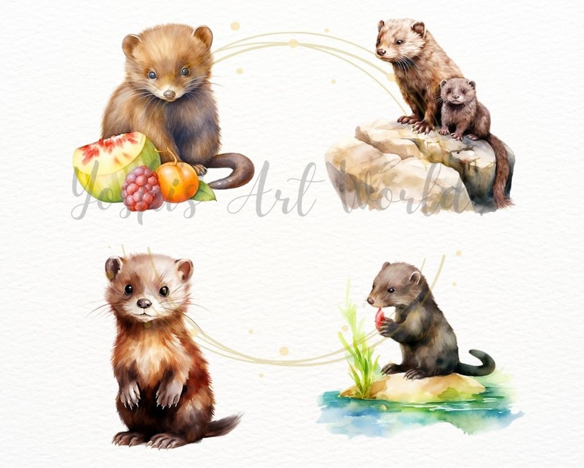 Watercolor Cute Mink PNG Bundle, Digital Crafts Designs Transparent ...