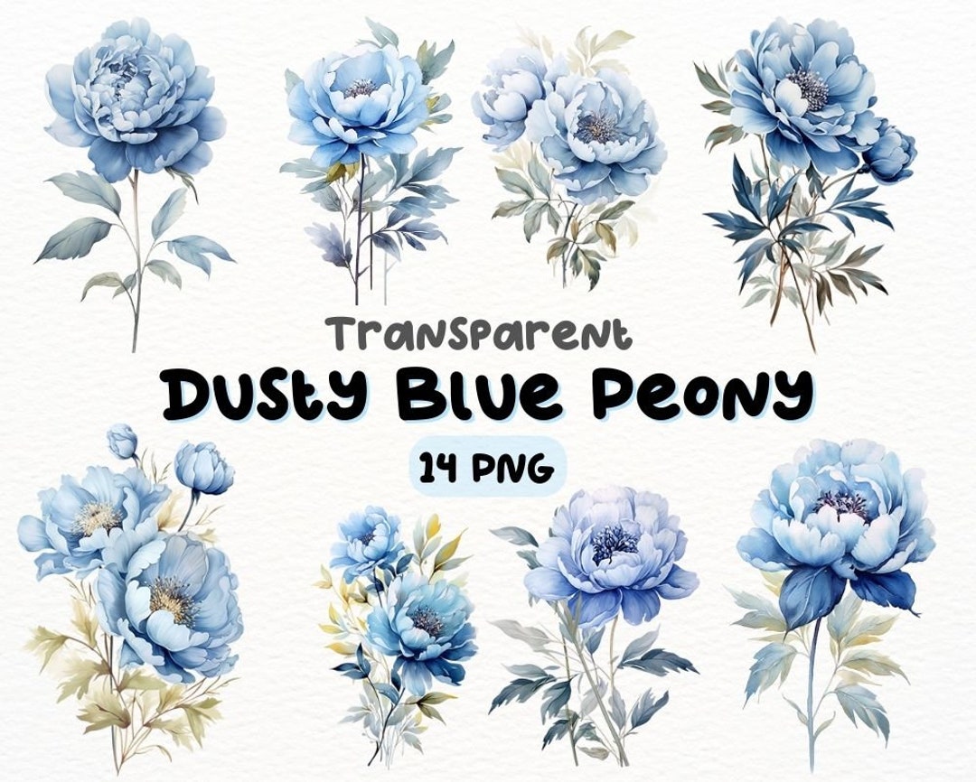 Watercolor Dusty Blue Peony PNG Bundle, Digital Crafts Designs ...