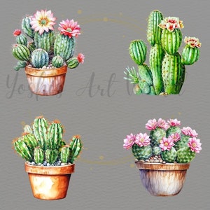 Watercolor Cactus PNG Bundle, Digital Crafts Designs Transparent ...