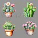 Watercolor Cactus PNG Bundle, Digital Crafts Designs Transparent ...