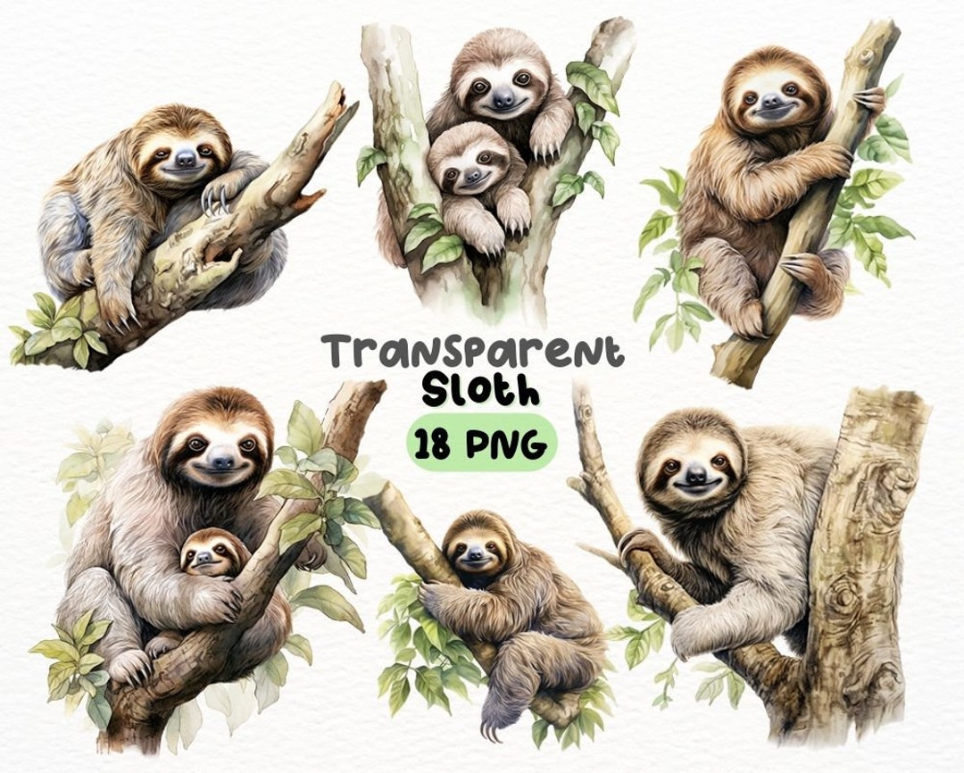 Watercolor Cute Sloth PNG Bundle, Digital Crafts Designs Transparent ...