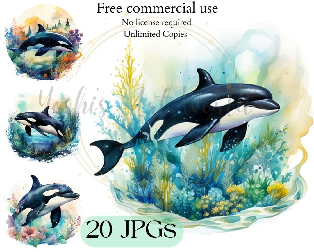 Fairytale Orca - Killer Whale -card Making, Mixed Media, Digital Paper ...