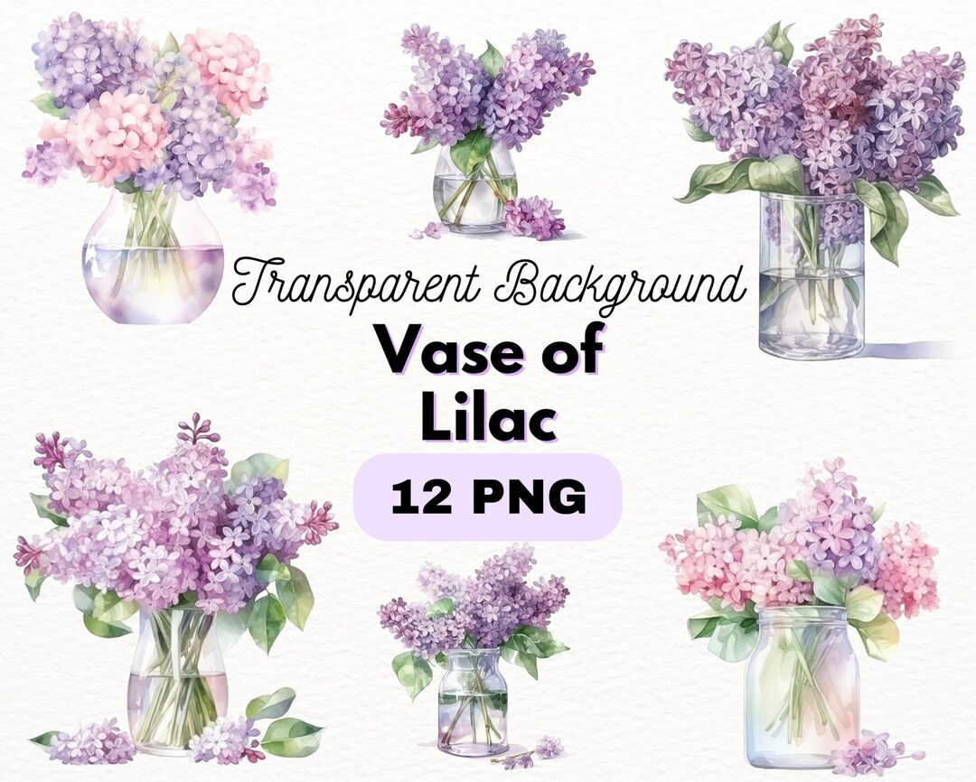 Lilac in Vase PNG Bundle, Digital Crafts Designs Transparent, Flower ...