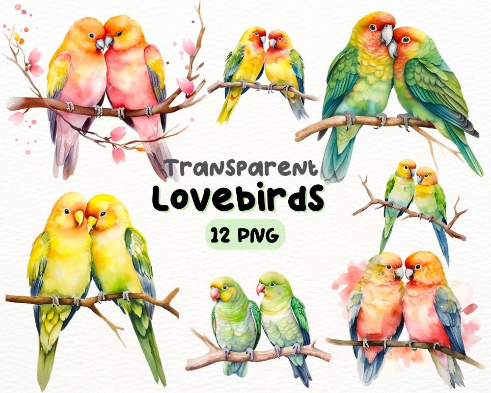 Yellow Love Bird Clipart
