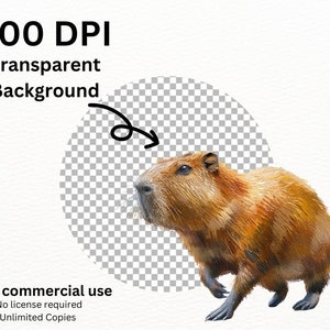 Watercolor Capybara PNG Bundle, Digital Crafts Designs Transparent ...