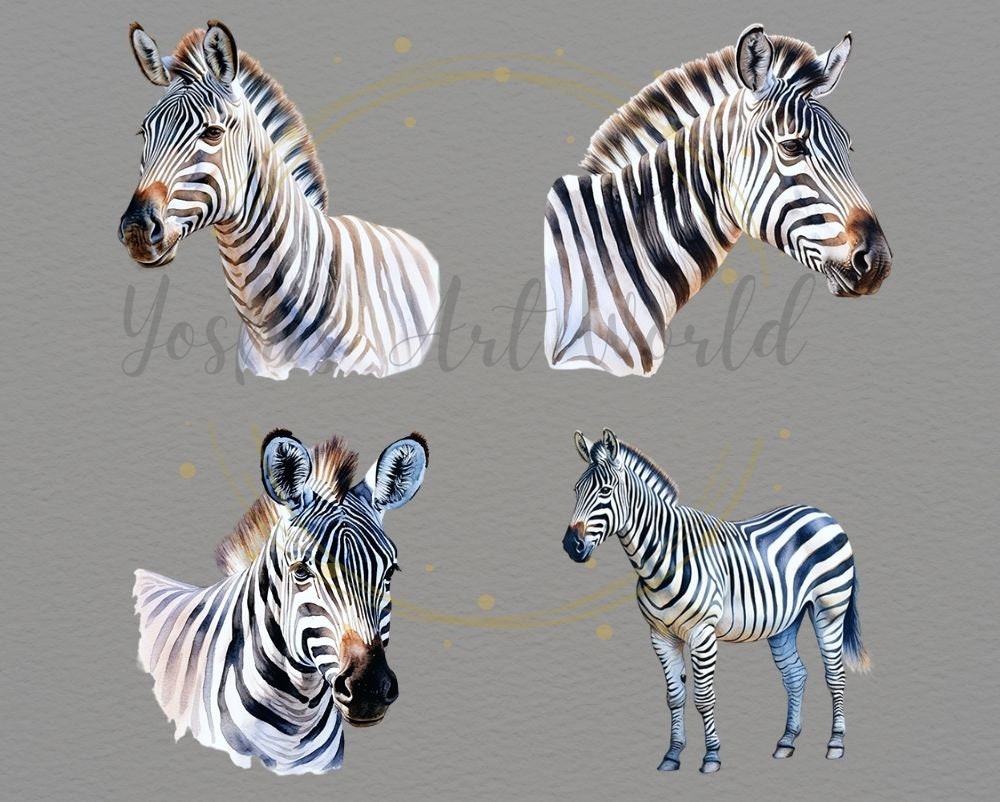 Watercolor Zebra PNG Bundle, Digital Crafts Designs Transparent ...