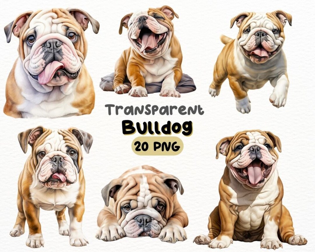 Watercolor Bulldog PNG Bundle, Digital Crafts Designs Transparent, Dog ...