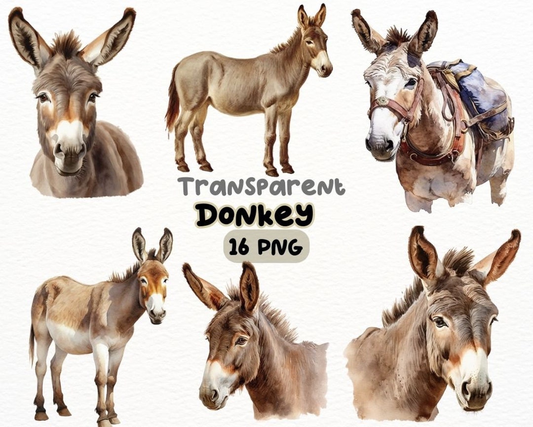 Watercolor Donkey PNG Bundle, Digital Crafts Designs Transparent ...